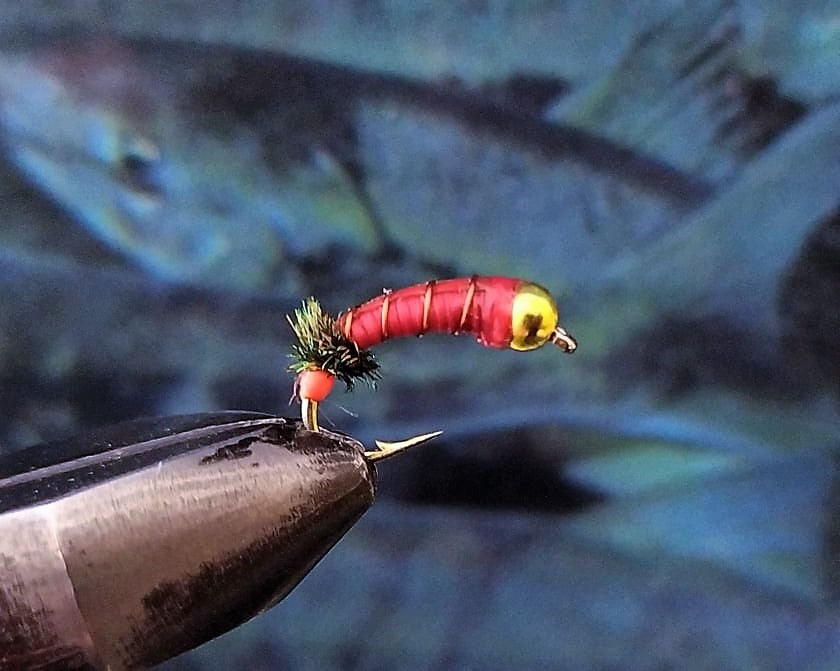 Boli Rauður – Valdemarsson Flyfishing